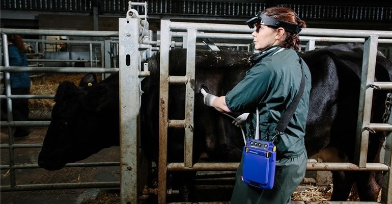 Easi-Scan bovine ultrasound scanner | IMV imaging