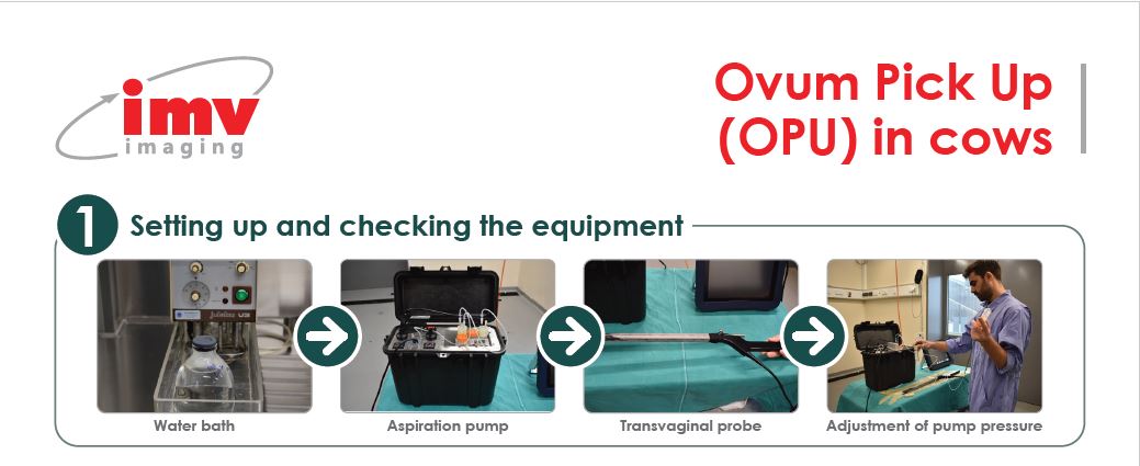 Step by step Ovum Pick Up guide | IMV imaging