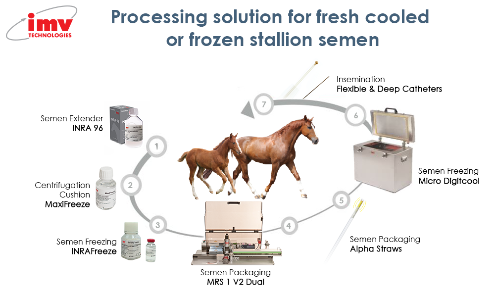 IMV imaging AAEP Specials | IMV imaging USA