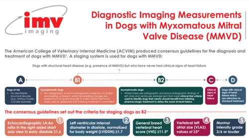Measurements in Dogs with Myxomatous Mitral Valve Disease (MMVD) | IMV ...