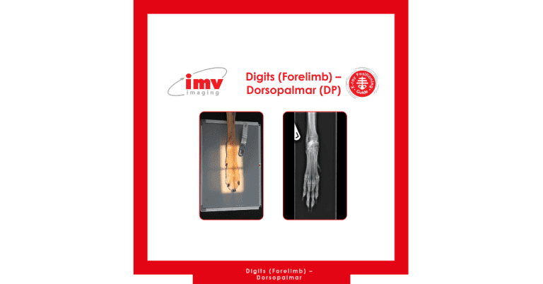 Digits forelimb | Dorsopalmar Canine x-ray | Veterinary x-ray