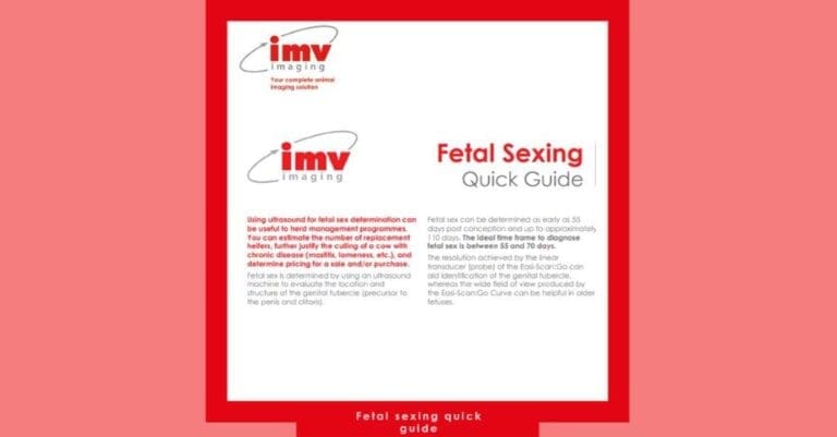 Free Download: Bovine Fetal Sexing Quick Guide | IMV Imaging
