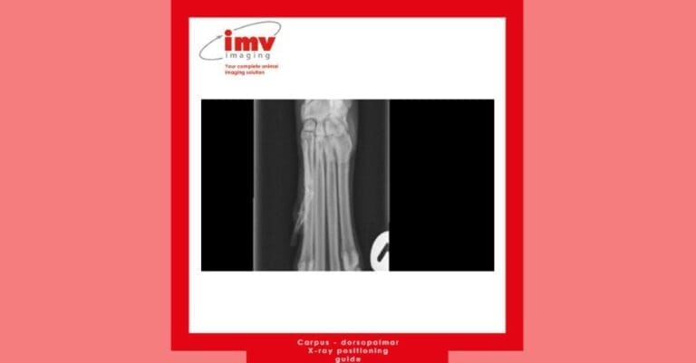 Free Download: Carpus - Dorsopalmar canine x-ray positioning guide ...
