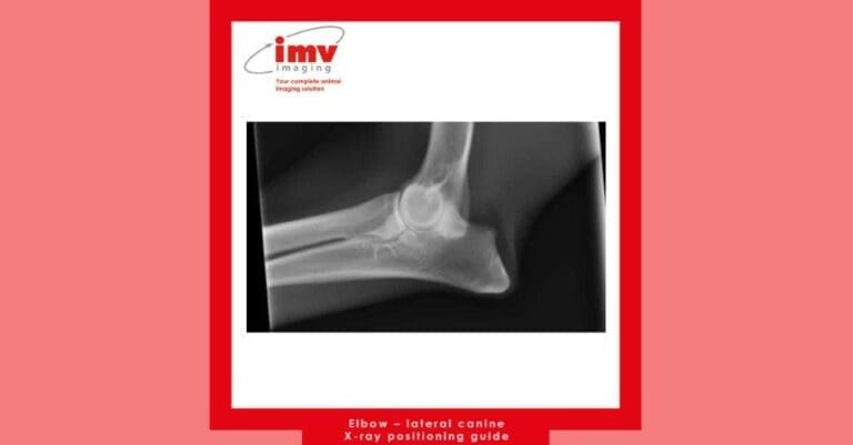 Elbow Lateral Canine | Veterinary x-ray | IMV Imaging