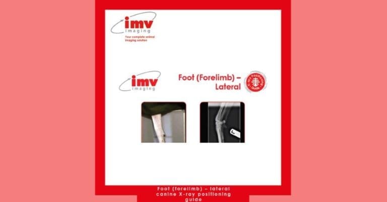 Foot (forelimb) | Lateral canine x-ray positioning | IMV Imaging