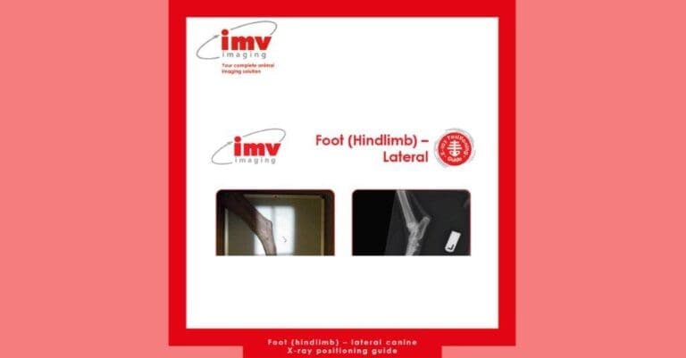 Foot (hindlimb) | Lateral canine x-ray positioning | IMV