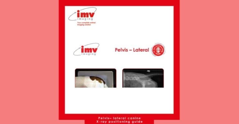 Free Download: Pelvis – Lateral canine x-ray positioning guide | IMV ...