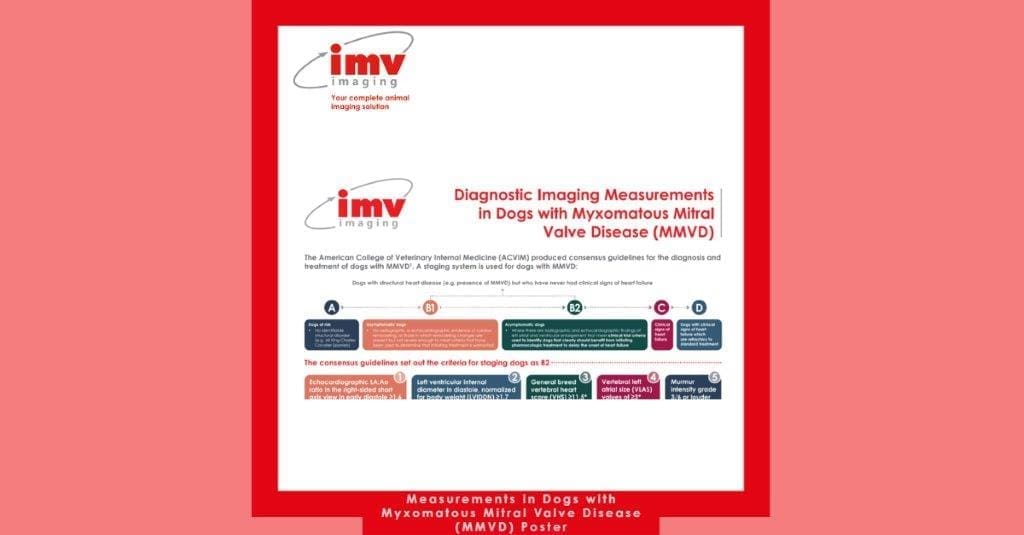 | IMV Imaging