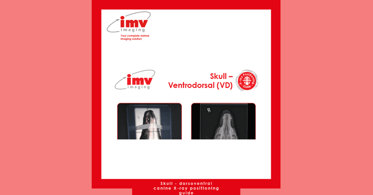 Canine Skull DV X-Ray Positioning Guide | IMV imaging Academy