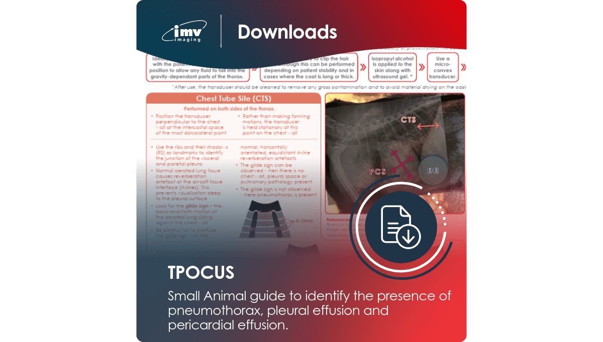 Free Download: TPOCUS Poster | IMV imaging