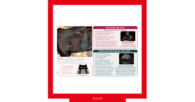 Vet Student Starter Package | IMV imaging
