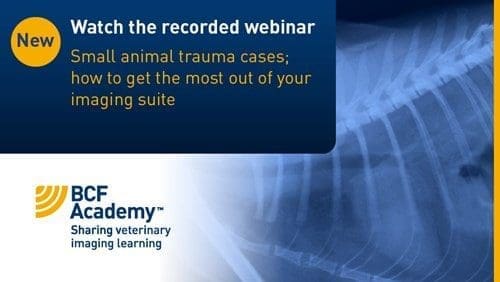 Webinar - small animal trauma cases - how to get the most out of your ...