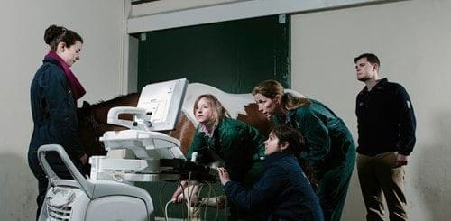 Case study – ocular fracture | IMV Imaging