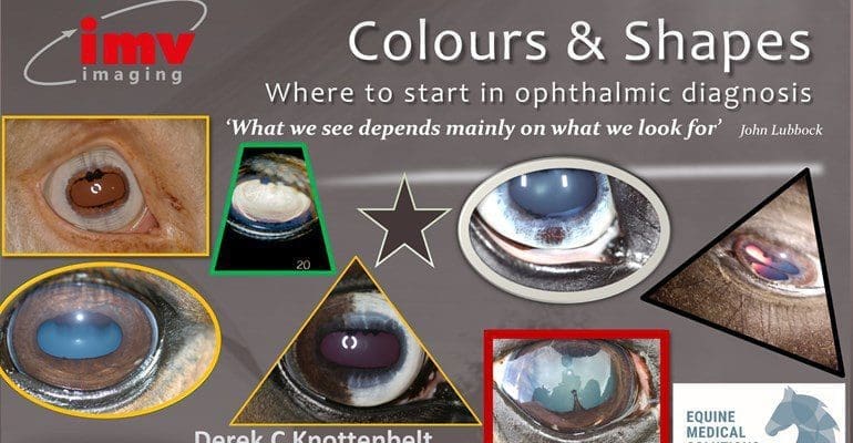 Webinar Colours and Shapes - What they tell us about equine eye disease