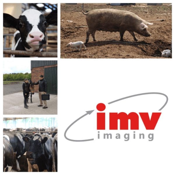 Inscription à la newsletter | IMV Imaging