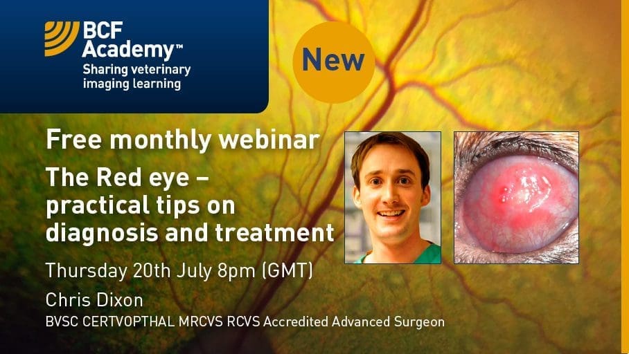 Webinar - The Red Eye - practical tips on diagnosis and treatment | IMV ...