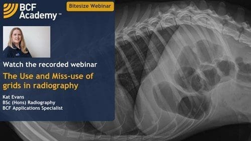Webinar: Use & Misuse of Grids in Radiography | IMV Imaging