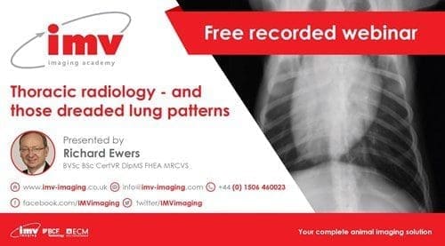 Webinar - Thoracic radiology -and those dreaded lung patterns! | IMV ...