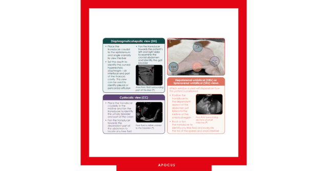 Vet Student Starter Package | IMV imaging