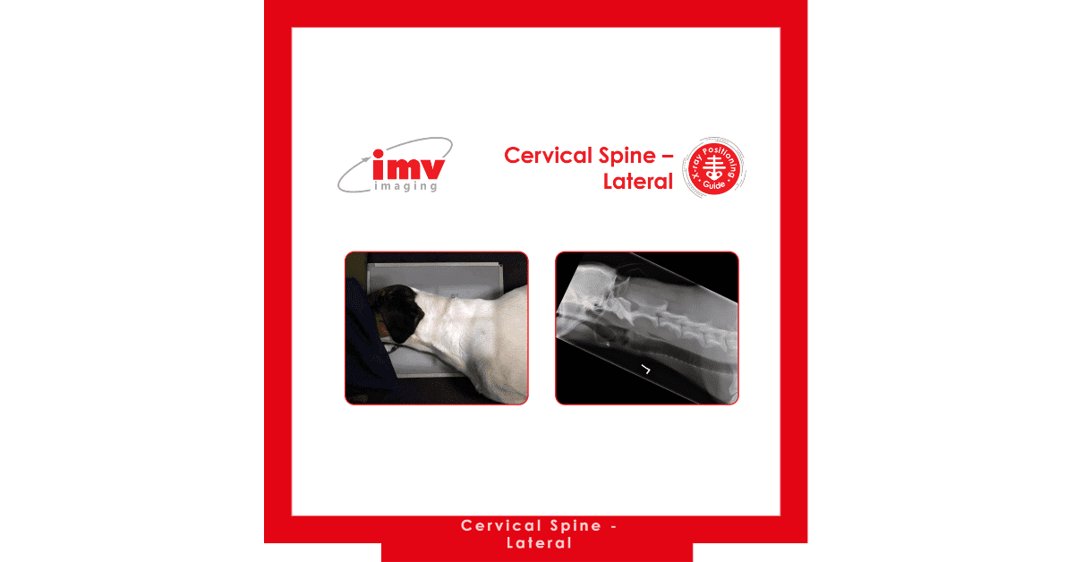 Cervical Spine X-Ray Guide: Free Download
