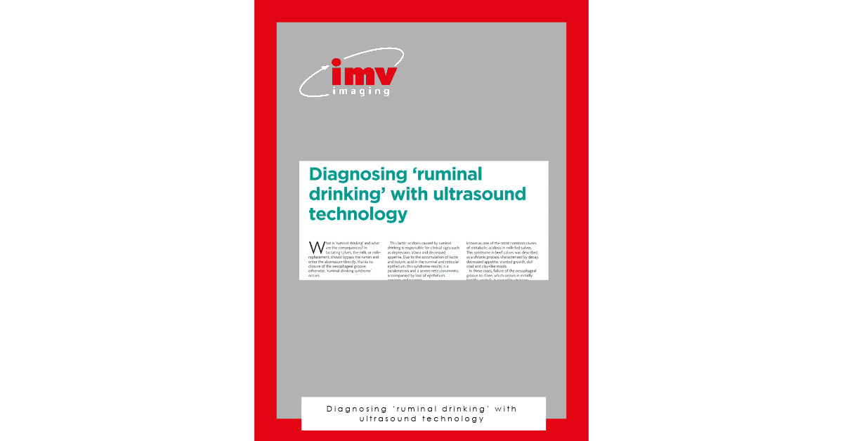 Diagnosing ruminal drinking | Veterinary Ultrasound | IMV