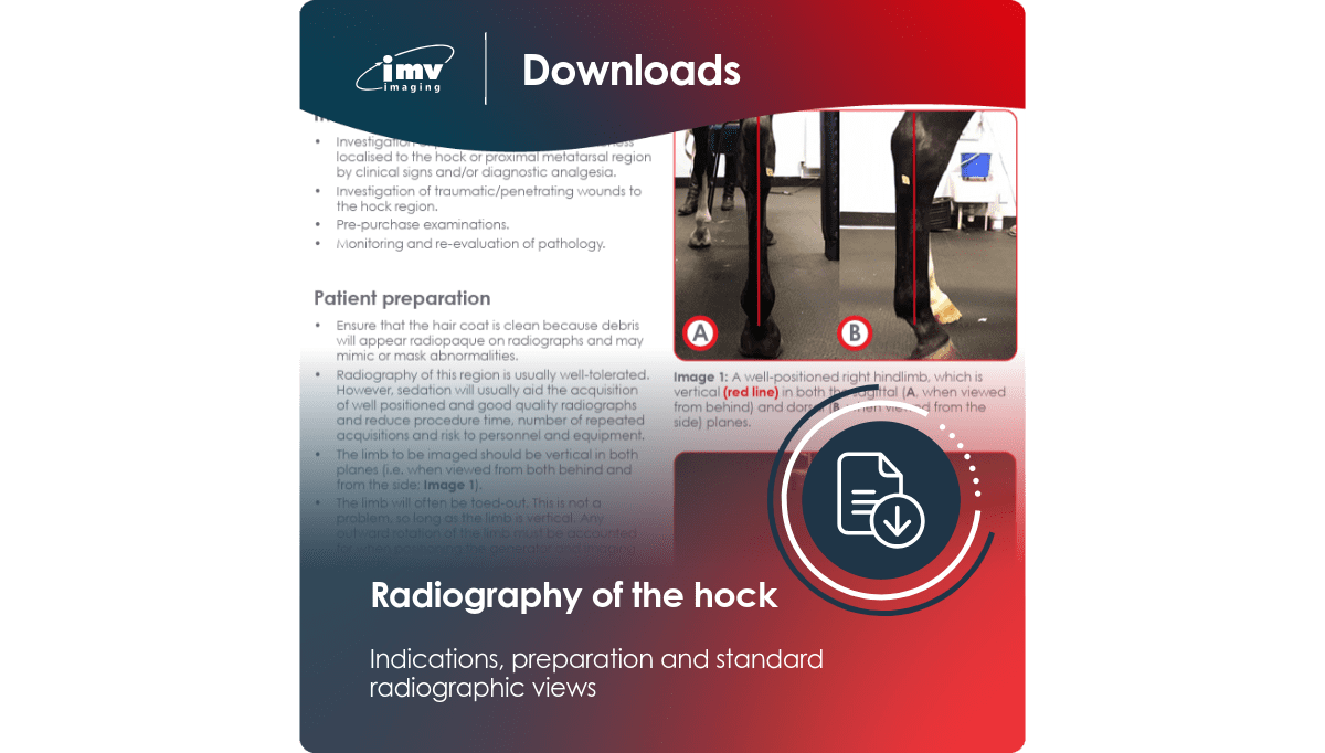 Free Download: Radiography of the equine hock | IMV imaging
