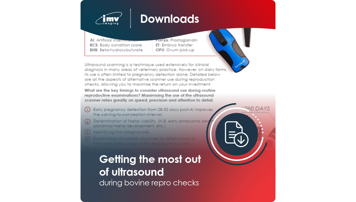 Bovine Repro Checks | Bovine Ultrasound | IMV Imaging