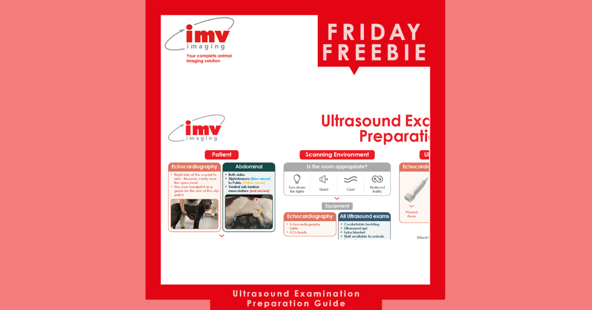 Free Download: Ultrasound Examination Preparation Guide | IMV Imaging