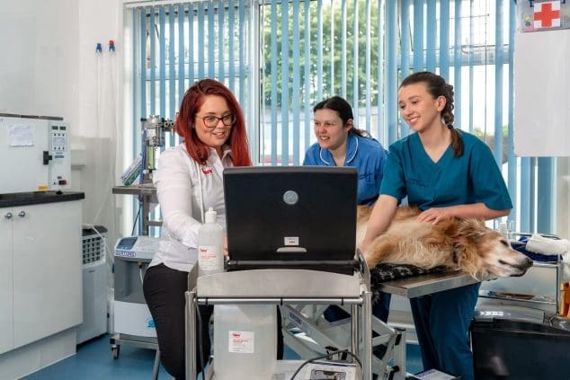 RVC Course Resources | IMV Imaging