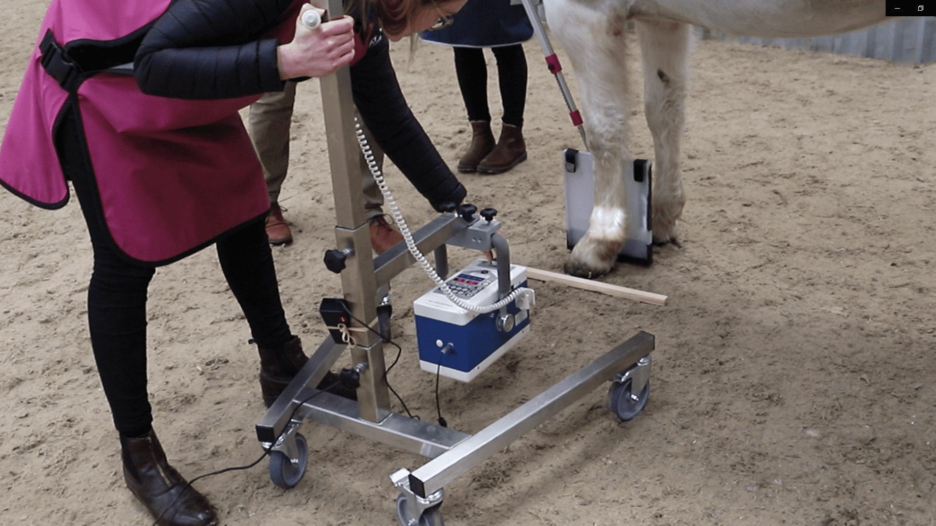 Equine X-ray | IMV Imaging