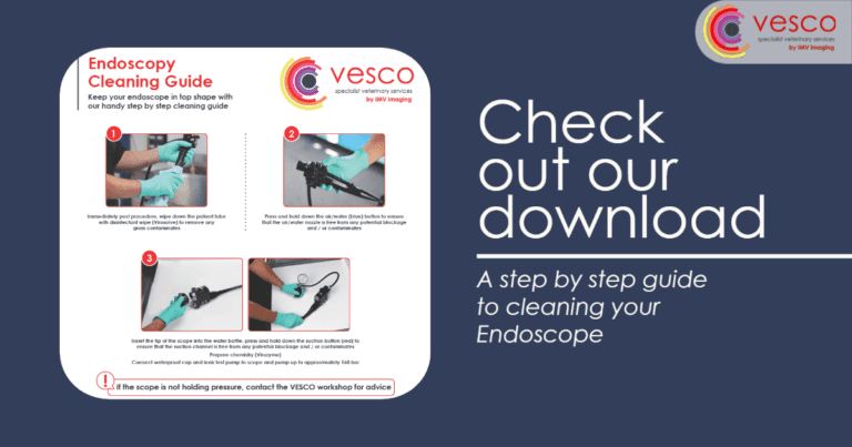 Endoscopy Cleaning Guide | IMV Imaging