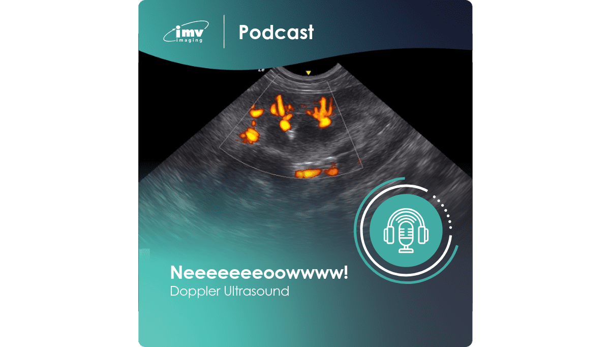 Focal Point Podcast | Doppler Ultrasound | IMV imaging