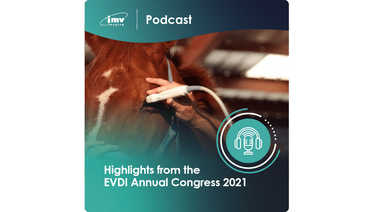 Podcast: EVDI Annual Congress 2021: IMV Imaging - Focal Point