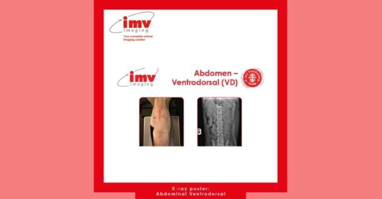 Free Download: Abdomen Ventrodorsal X-ray Positioning Guide | IMV Imaging