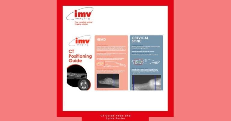 Veterinary CT | Head and Spine | IMV Imaging