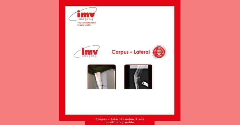 Carpus Lateral | Canine X-ray Positioning | IMV Imaging