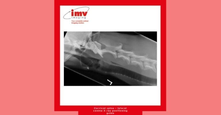 Cervical Spine | Lateral canine x-ray positioning | IMV Imaging