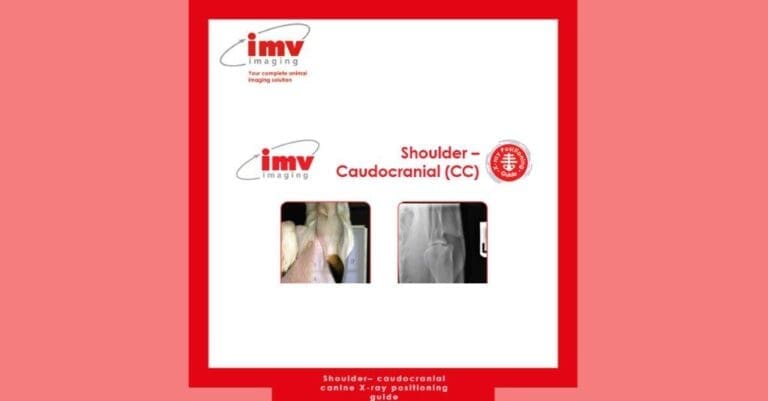 Shoulder Caudocranial | Canine X-ray | IMV Imaging