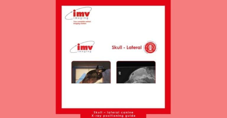 Skull Lateral | Canine x-ray positioning | IMV Imaging