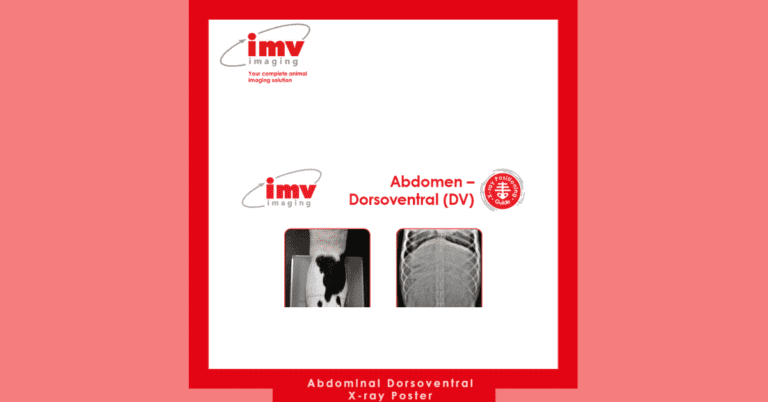 Free Download: Abdominal Dorsoventral X-ray positioning guide | IMV Imaging