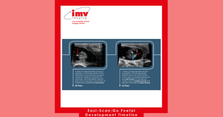 Easi-Scan:Go Foetal Development Timeline | IMV Imaging