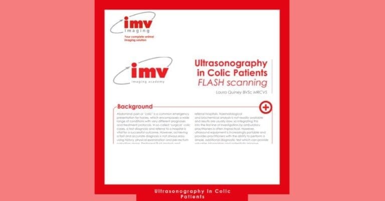 Free Download: Ultrasonography in Colic Patients | IMV Imaging