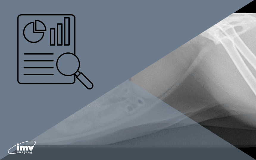 Small animal veterinary case study - Amber the domestic shorthair | IMV ...