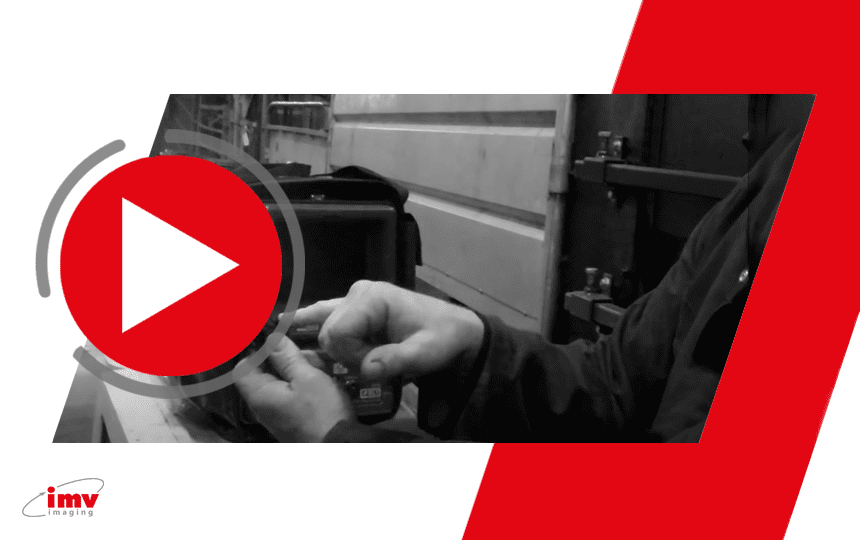 Sheep Scanning Video Setup: Free Video by IMV Imaging