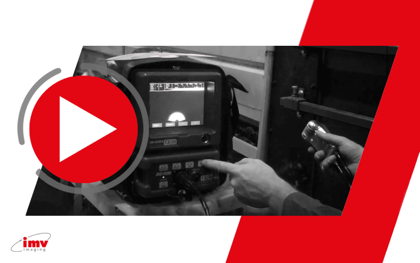 Sheep scanning IMV Imaging: Video 3