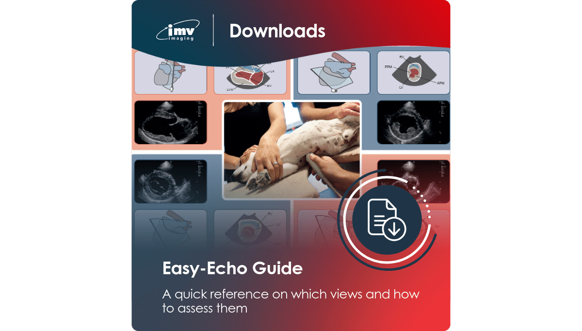 Echo Poster | Veterinary Ultrasound | IMV Imaging