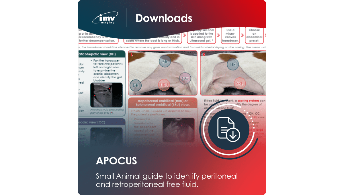 APOCUS | Abdominal Ultrasound | IMV Imaging