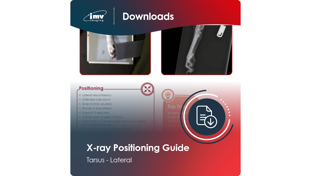 X-ray Positioning Guide- Tarsus
