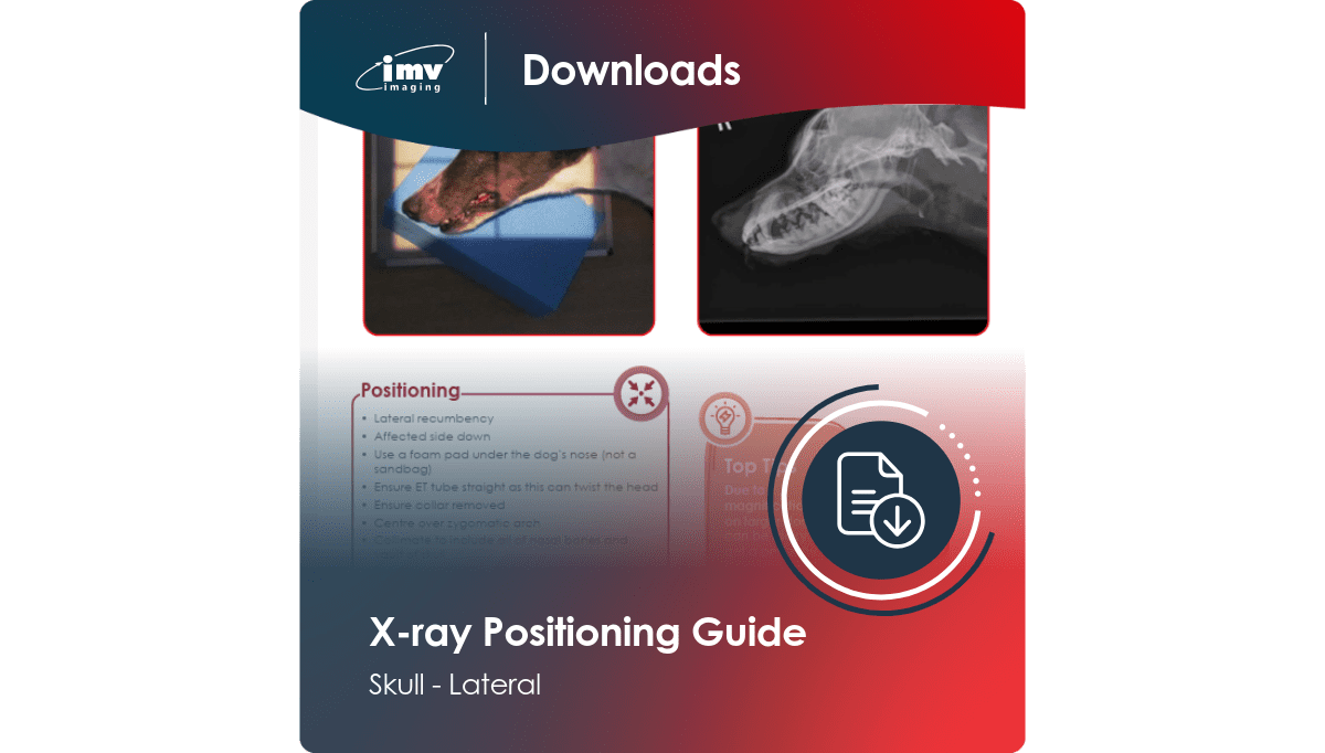 Skull Lateral Positioning Guide: Free Download