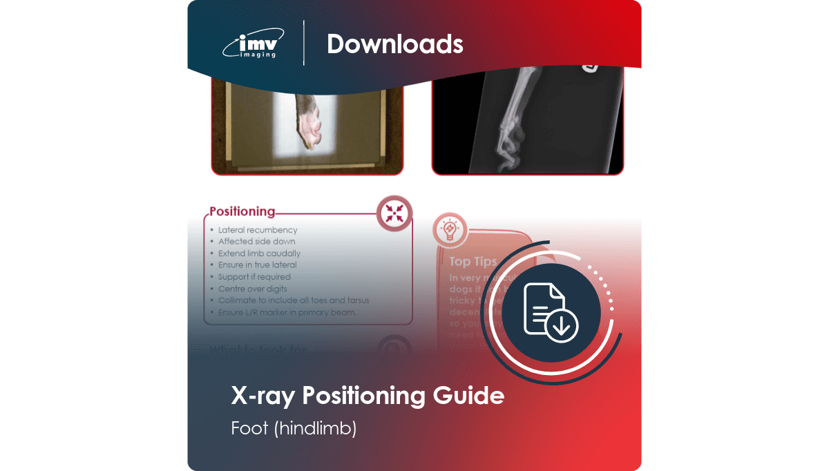 Foot (Hindlimb) X-Ray Positioning: Free Download
